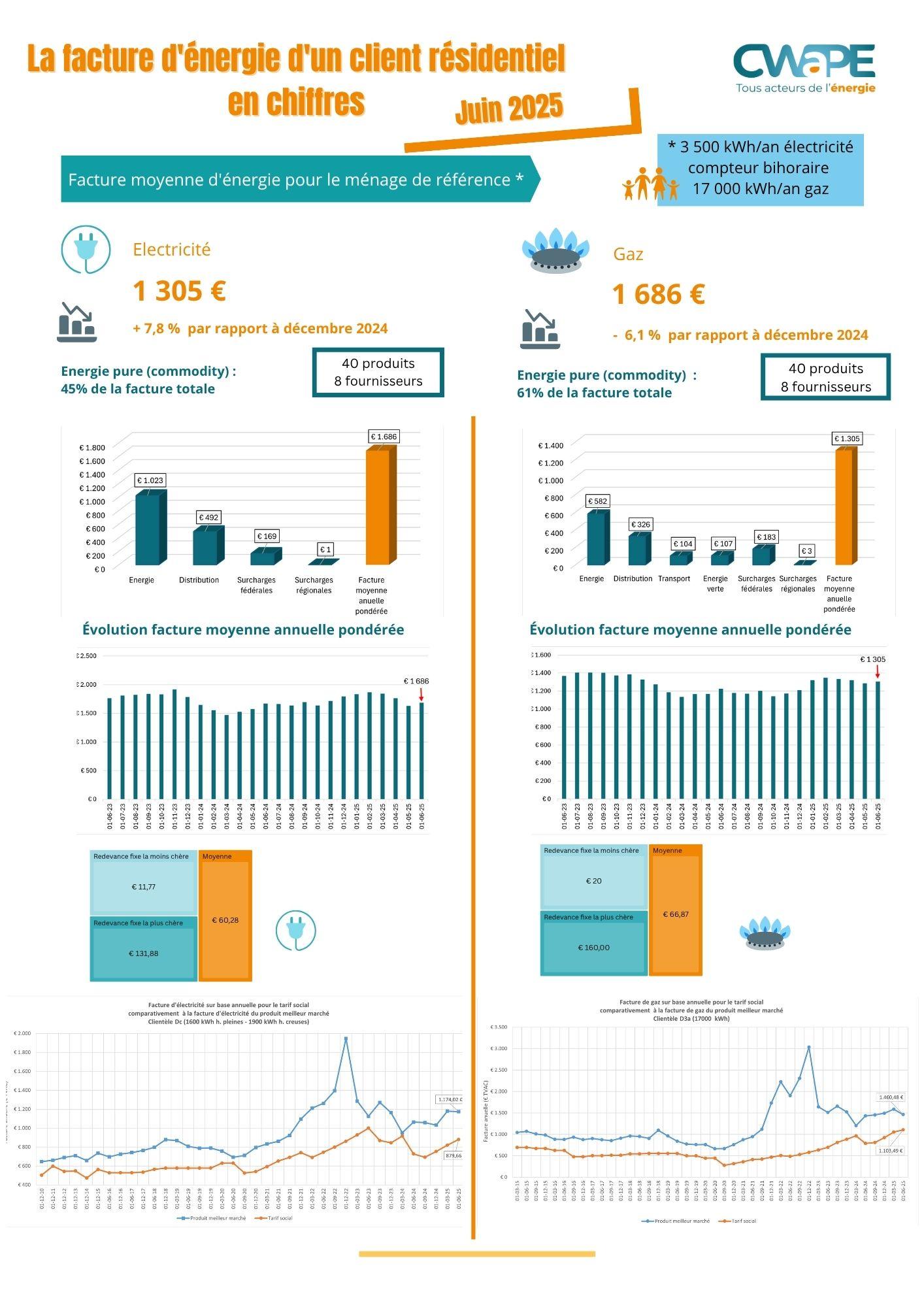 Analyse des prix de l'électricité et du gaz naturel pour les clients ...